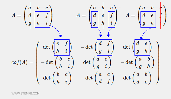 Adjugate Matrix | stemkb.it