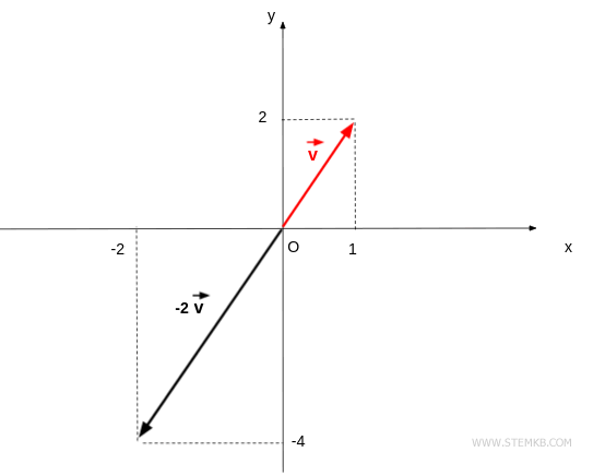 Scalar Multiplication of a Vector: An Explanation | stemkb.it